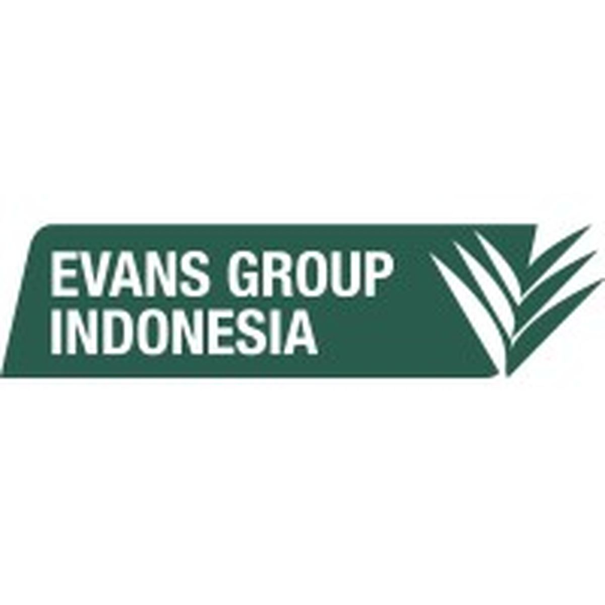 PT Evans Indonesia Mp Evans Group Plc